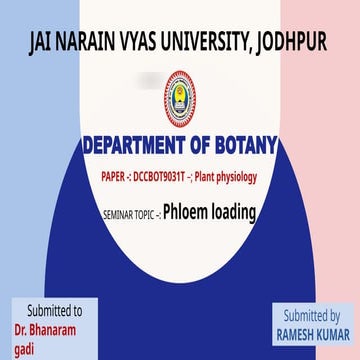 phloem loading new.pptx new ppt Nice ppt | PPTX