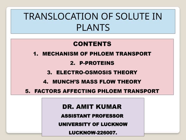 Translocation in plants | PPTX
