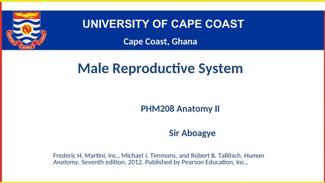 Anatomy & Physiology of the Male Reproductive System | PPTX