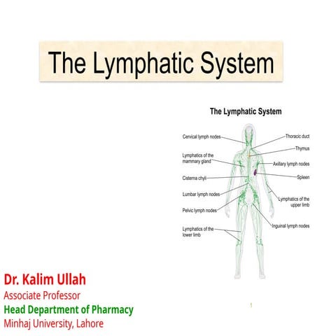 PHMD104-Lymphatic-System_ works advantage of lymphatic system ...