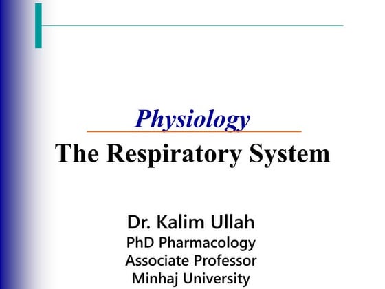 RESPIRATORY.ppt respiratory systemmmmmmm | PPT