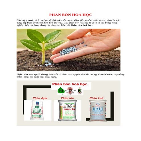 PHÂN BÓN HOÁ HỌC.docx