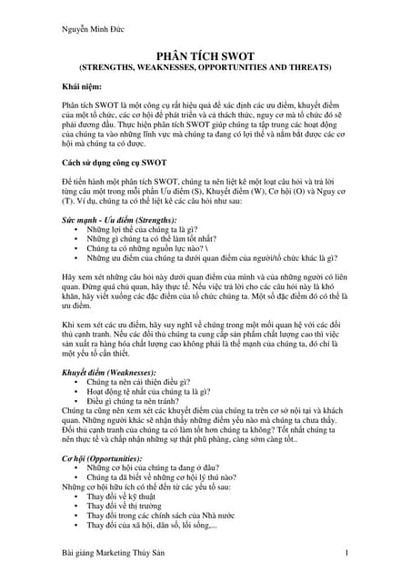 Phân tích swot | DOCX