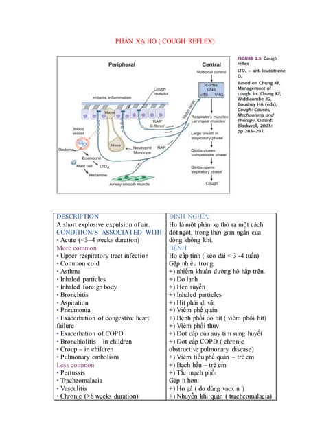 Harrison sulcus | DOCX