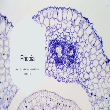 Phobia Pptx