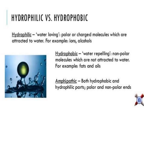 Hydrophobic vs Hydrophilic | PPTX