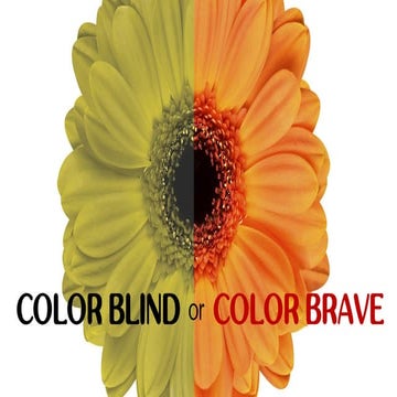 Color Blind or Color Brave? | PDF