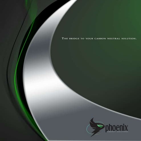 Phoenix Energy Solutions Brochure | PDF