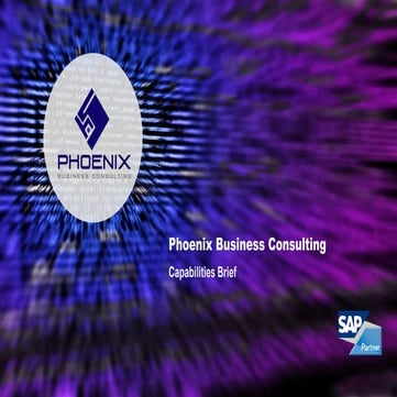 Phoenix Business Consulting Capabilties Brief 1805 | PDF