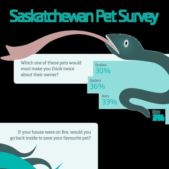 Phoenix pet poll | PDF