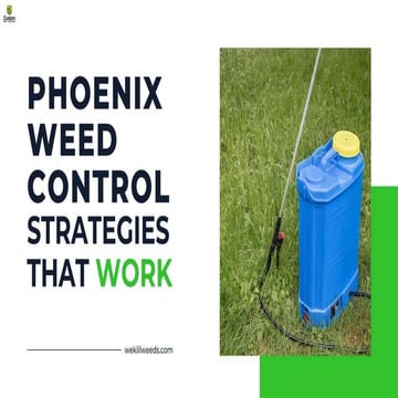 Phoenix Weed Control Strategies That Work | PPTX