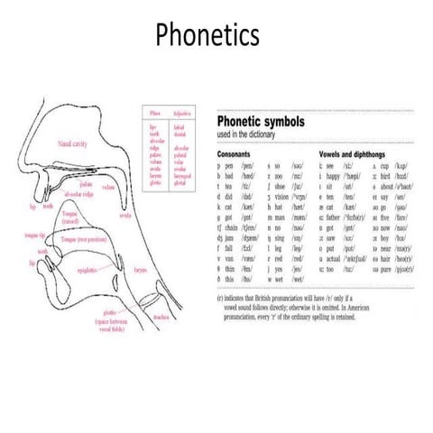 Phonetics | PPT