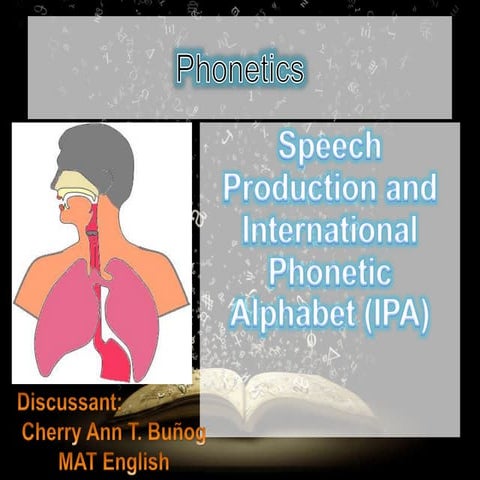 Phonetics: Speech Sound Production, IPA, Importance of Phonetics, and ...
