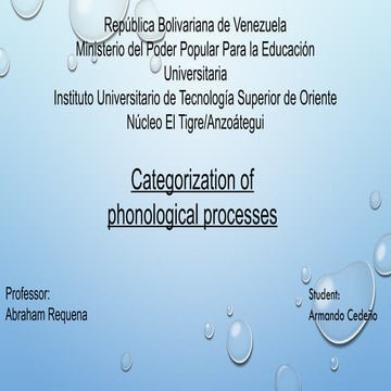 categorization of phonological processes | PPTX