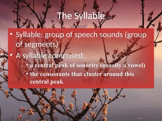 Week 8 Syllables.pptx