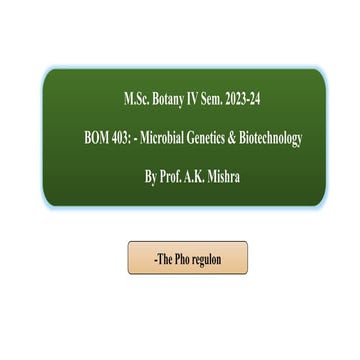 PHO_regulon and cyanobacterial symbiosis.pptx