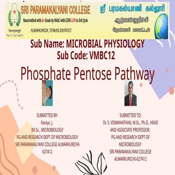 Phosphate Pentose Pathway, HMP shunt PPT | PPTX