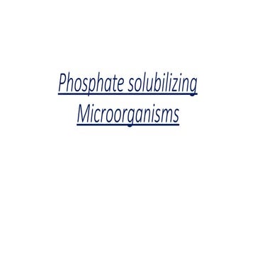 phosphate solubilising microorganisms ppt.pptx