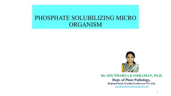 Phosphate fixation | PPSX | Gardening | Home & Garden