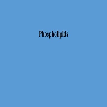 Phospholipids Pptx