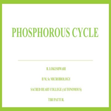 Phosphorous cycle | PPTX