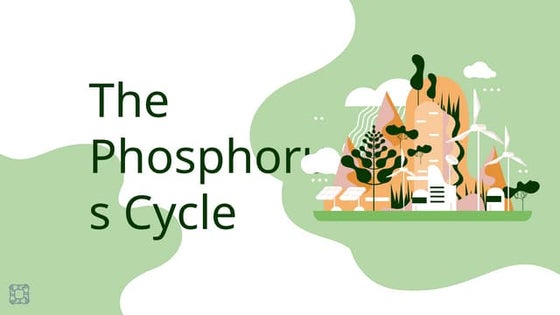 Phosphorous cycle | PPTX