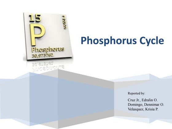 Phosphorus cycle | PPTX | Chemistry | Science