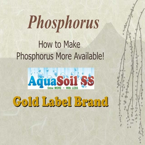 Phosphorus gold label (as) | PPT