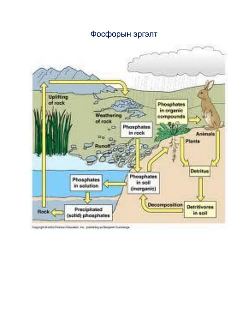 Bulchin uugantuya | PPTX