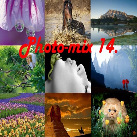 Photo mix | PPS