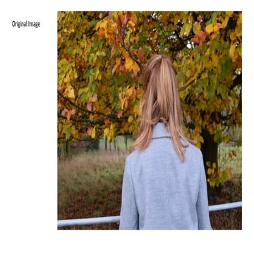 Photo 4 | PPTX | Photo Editing Software | Computer Software and ...