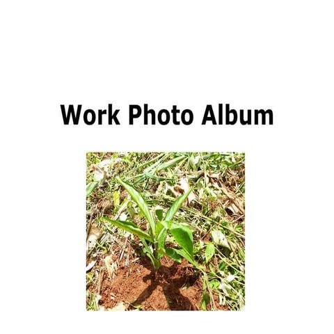 Work Photo Album | PPT