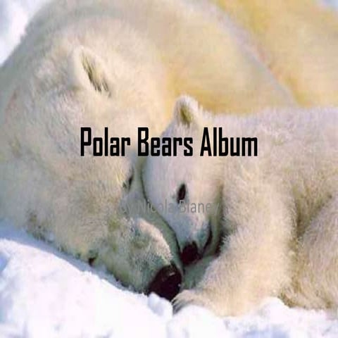 Photo album polar bears presentation | PPTX