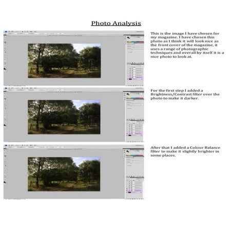 Photo Analysis Media | DOCX