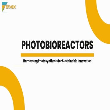 photo bioreactor types,advantage,disadvantage,contruction | PDF