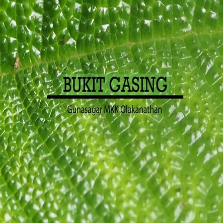 Photo Book Bukit Gasing -Final.pdf photo | PDF