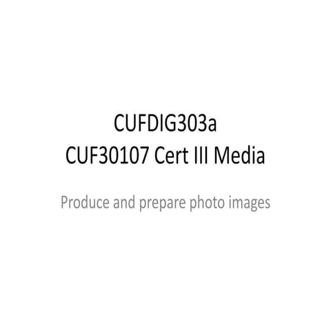 Rene Photo composition trial | PPTX | Cameras and Camcorders | Consumer ...