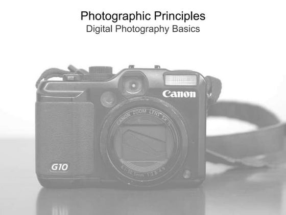 Chapter 3 emphasis and focal point | PPT | Photography | Arts and Crafts