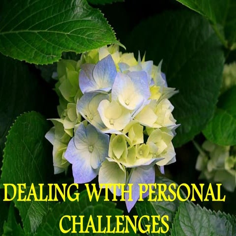Photo Essay - Dealing with personal challenges | PPTX