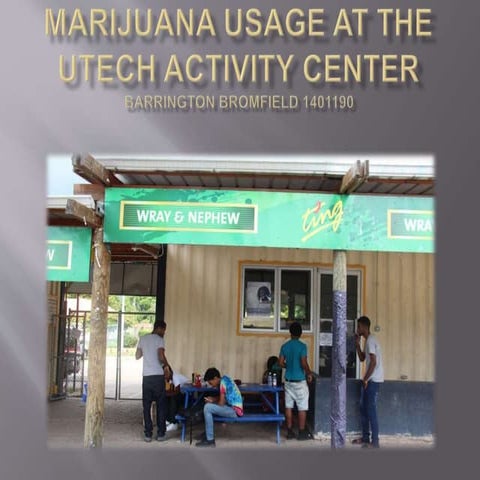 Photo Essay - Marijuana Usage At The UTech Activity Center | PPTX
