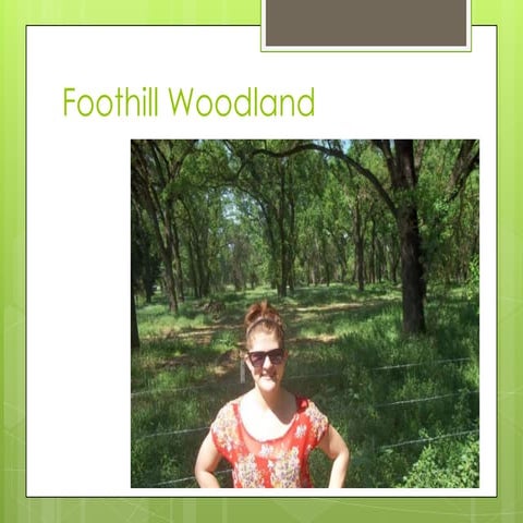 Photo Essay Project Pt. 1 | PPTX