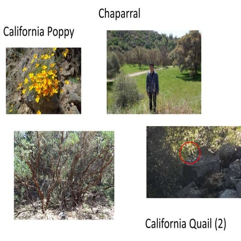 Photo essay projectpart2 | PPTX