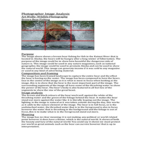 Photographer image analysis | PDF