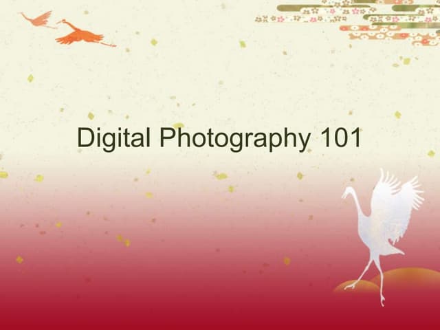 Basic Photography Lesson | PPT