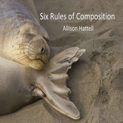 Compositional Rules | PPTX