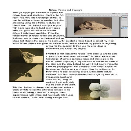 A level Photography Essay | DOCX