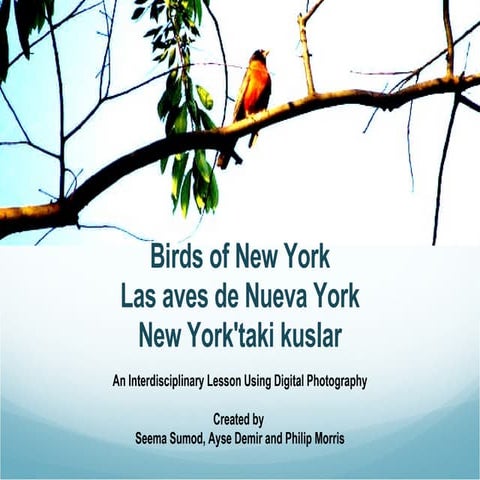 Birds of New York - Nature Photography Lesson | PPT