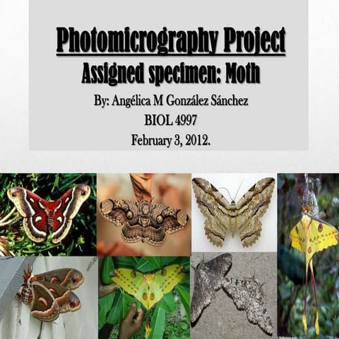 Photomicrography project | PPTX