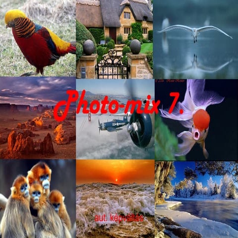 Photo mix7 | PPS