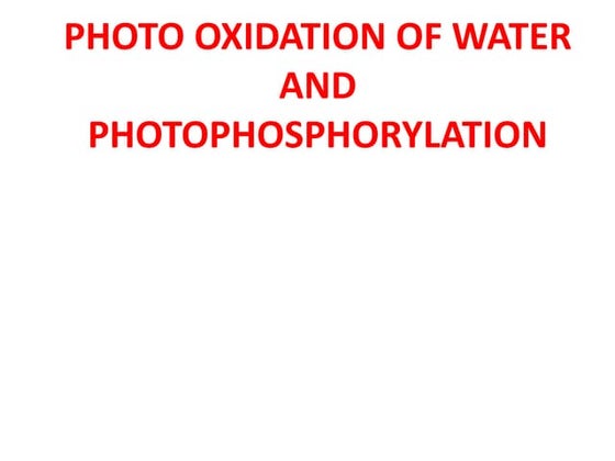 Photophosphorylation | PPT | Chemistry | Science